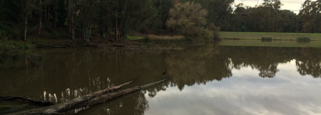 Don Castro Regional Recreation Area - 5 tips