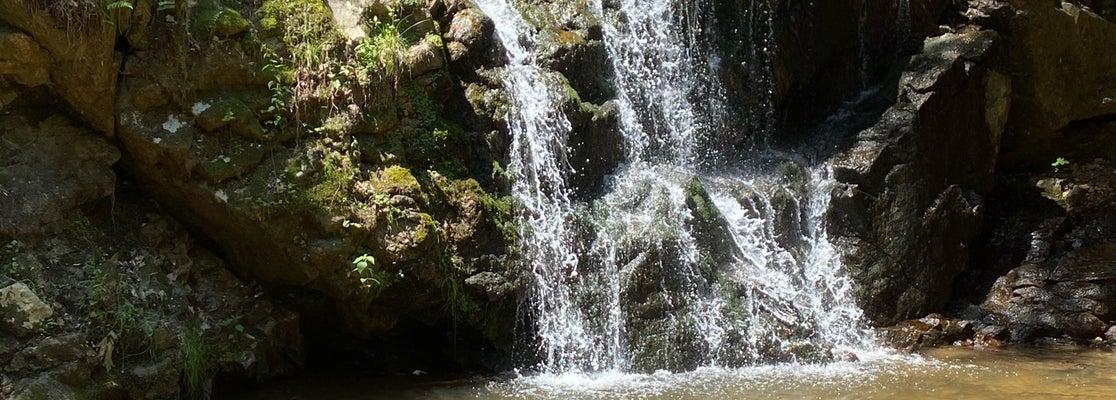 Patapsco State Park - Cascade Falls Trailhead - Hiking Trail