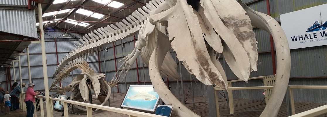 Whale World - Torndirrup, WA