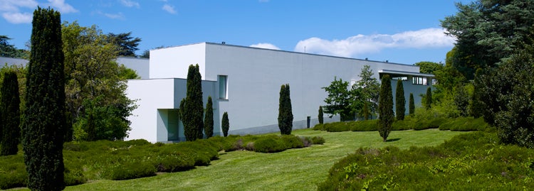 Museu de Serralves - Art Museum