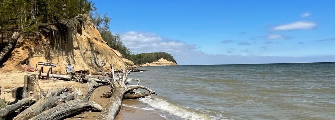 Calvert Cliffs State Park - State or Provincial Park in Lusby