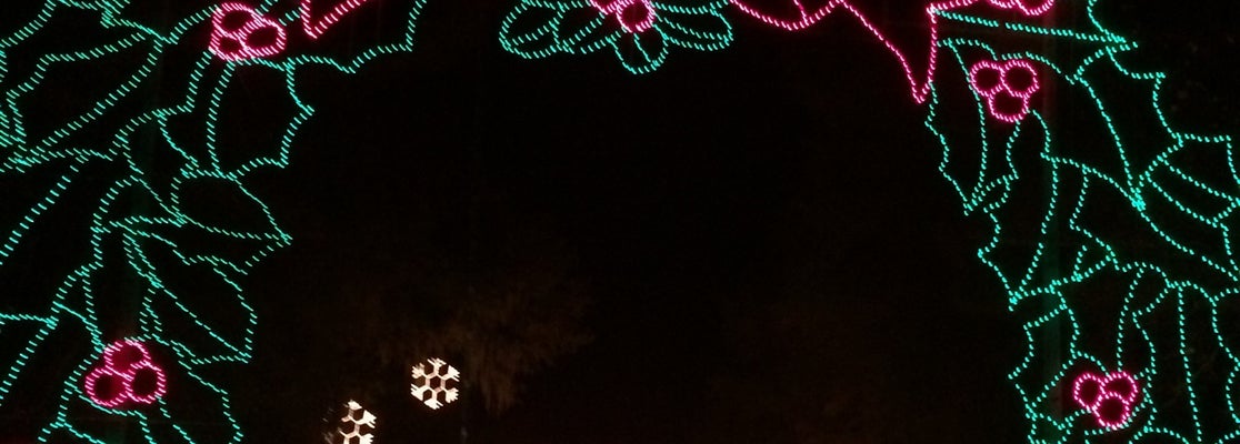 Holiday Festival Of Lights - Arts and Entertainment in James Island