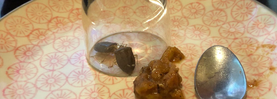 Tikua Sur Este - Mexican Restaurant in Santiago de Querétaro