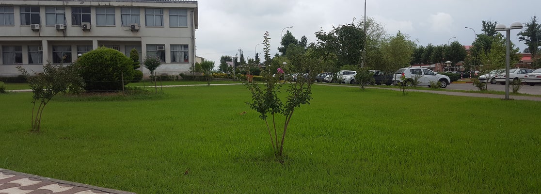 University of Guilan | دانشگاه گیلان - رشت, گیلان