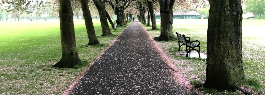 The Meadows - Park in Edinburgh