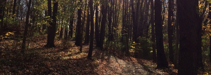 Goodyear Heights Metro Park - Goodyear Heights - 7 tips