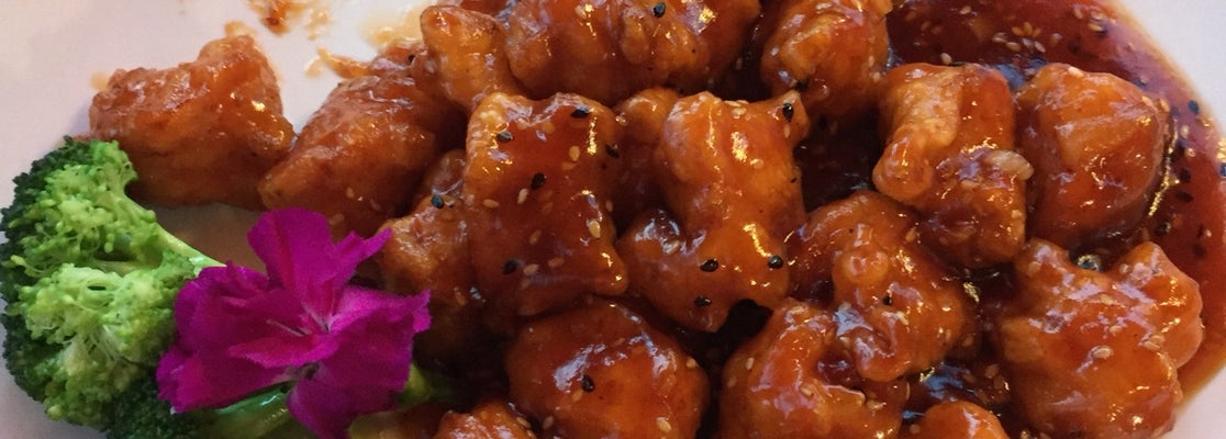 Zing Japanese Fusion - Japanese Restaurant in Mishawaka