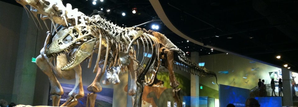 Perot Museum of Nature and Science - Science Museum in Dallas