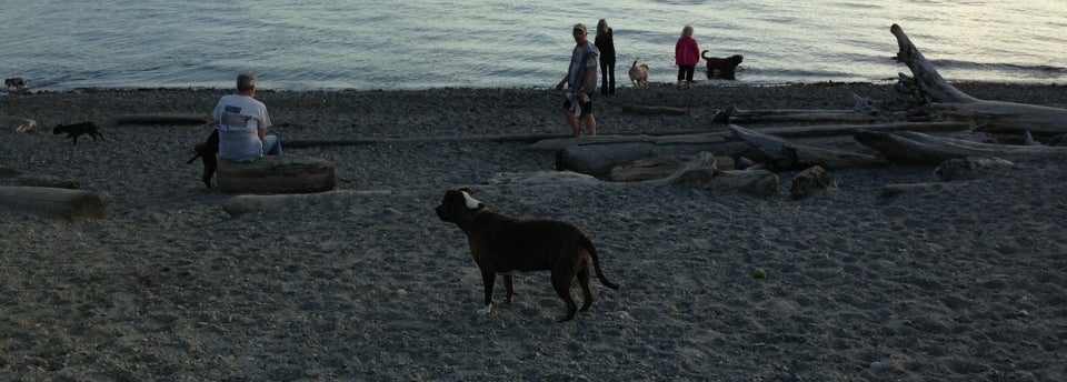 Edmonds Off-Leash Dog Park - Dog Park