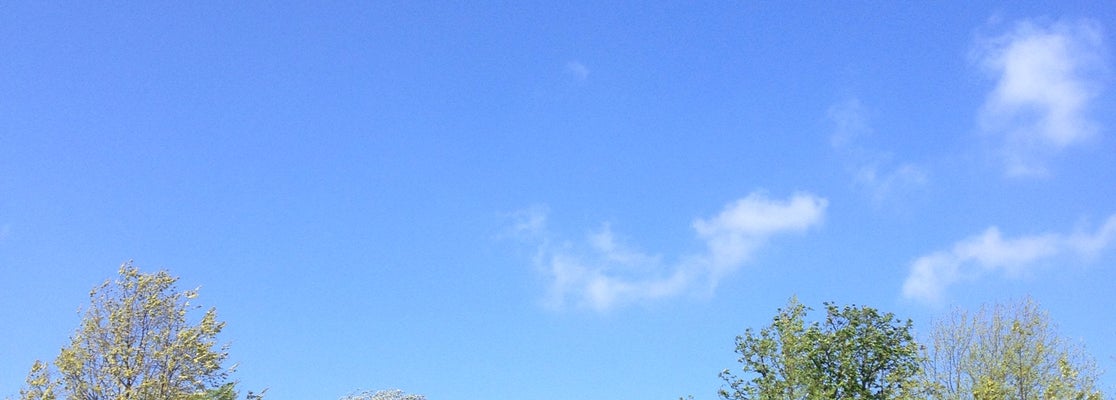 Westerpark - Park in Amsterdam