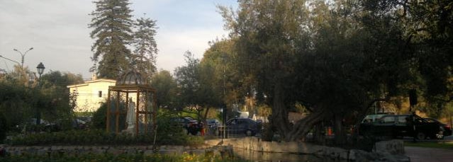 Bosque El Olivar - Park in San Isidro