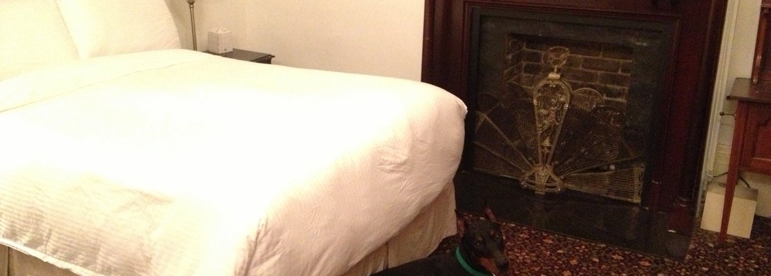 Lafitte Guest House - French Quarter - 7 tips from 331 visitors