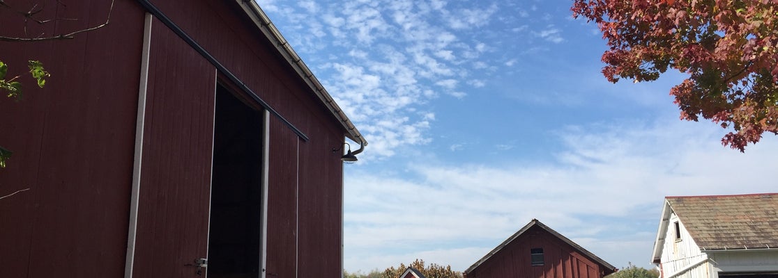 Beckwith Orchards - 4 tips