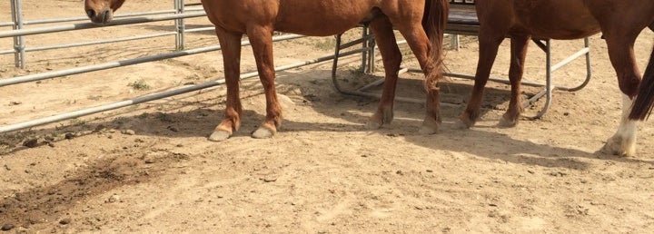 Pierce College: Farm Center - 6 tips from 636 visitors