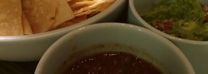 Blanco Tacos + Tequila - Mexican Restaurant in Camelback East