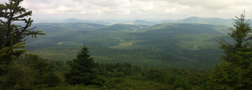 Spruce Knob - Mountain