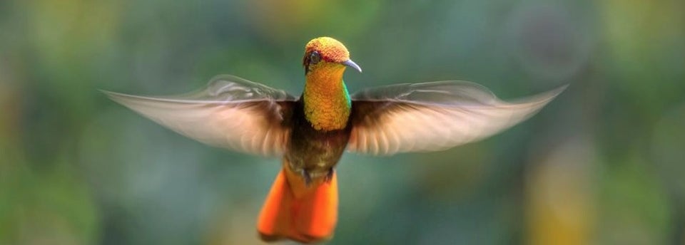 MacDill AFB Fitness Center - Gym in Tampa