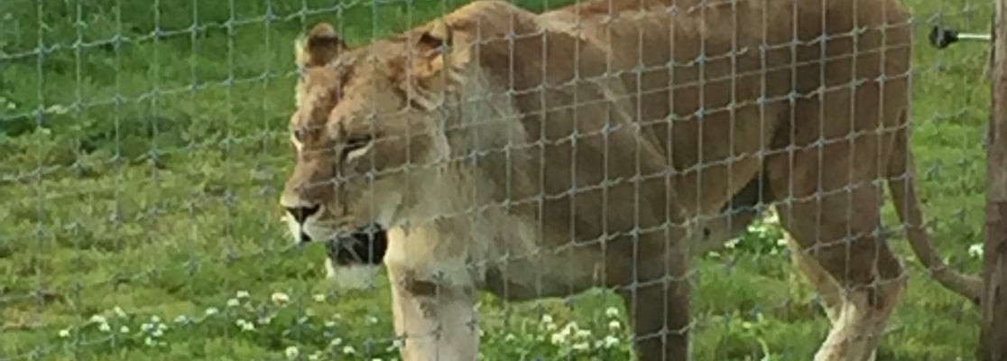 Yorkshire Wildlife Park - Zoo in Doncaster