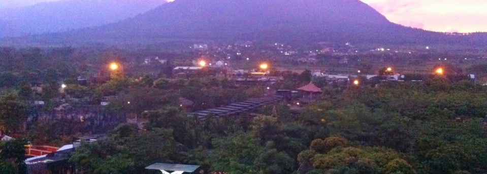 Pohon Inn Hotel - Batu, Jawa Timur