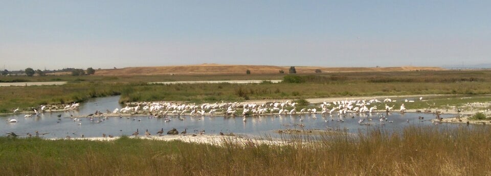 Baylands Nature Preserve - Baylands - Palo Alto, CA