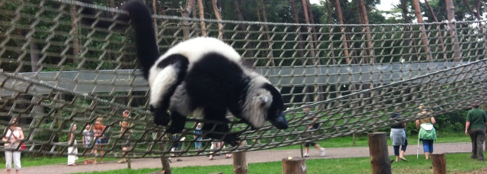 Yorkshire Wildlife Park - Zoo in Doncaster