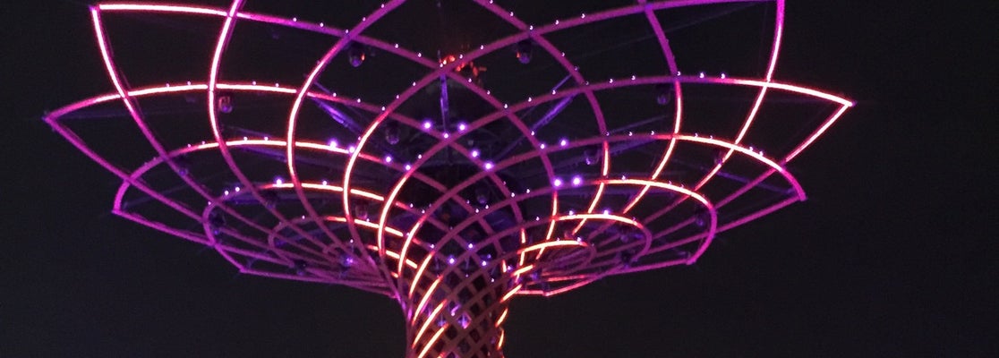 Albero della Vita - Lake Arena