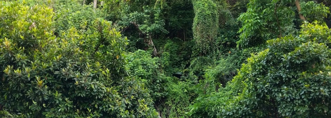 Labrador Nature Reserve - Park in Central Region