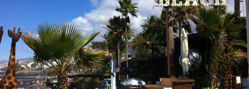 Monkey Beach Club - 30 tips from 1495 visitors