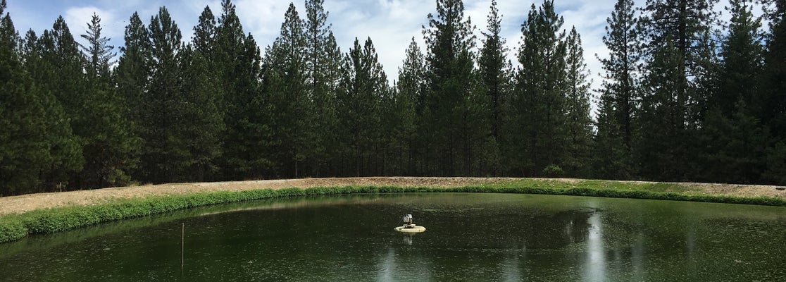 Gold Run Rest Area Eastbound - Gold Run, CA
