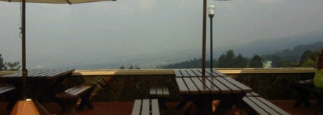 Puncak Pass Restaurant - 27 tips from 1929 visitors