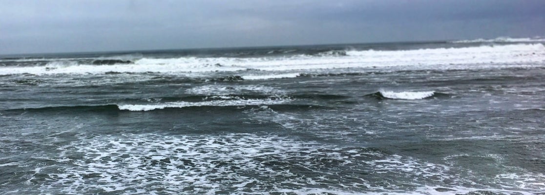 Shells Cafe - Strandhill, Co Sligo
