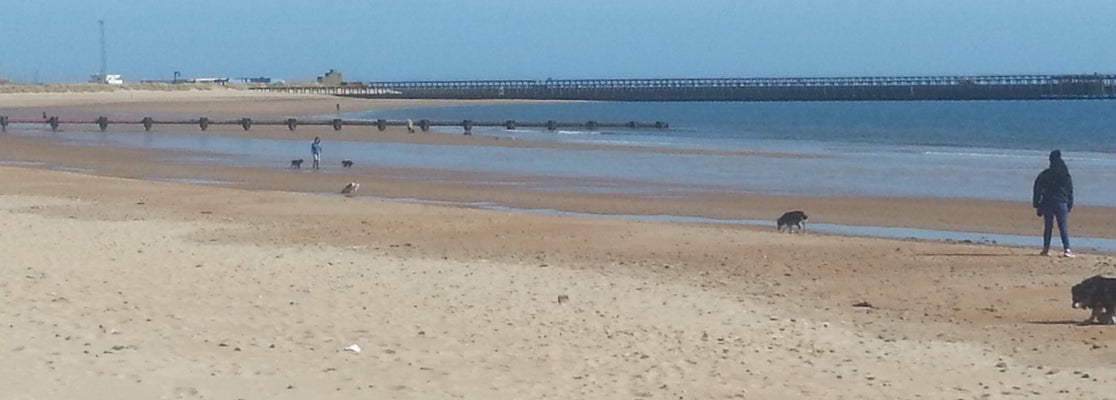 Blyth Beach - Beach in Blyth
