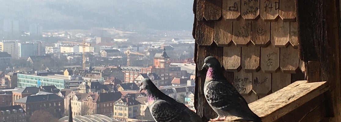Esslinger Burg - Castle in Esslingen am Neckar
