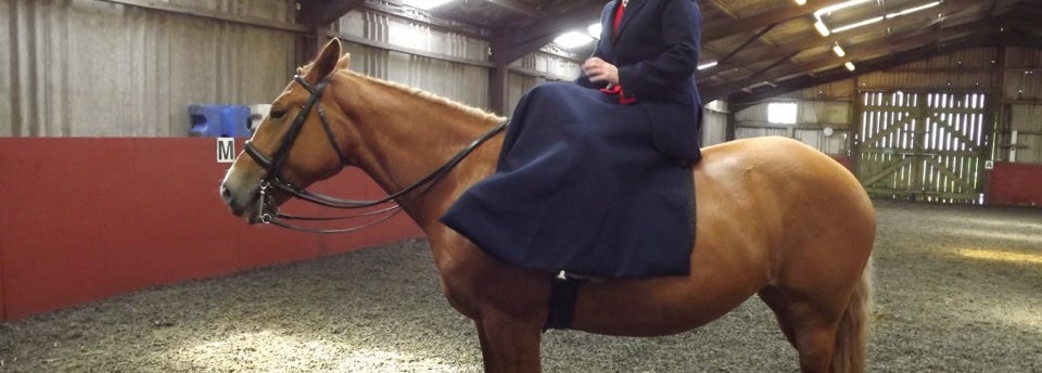 Cornish Riding Holidays, Wheal Buller Riding School, - Equestrian Facility