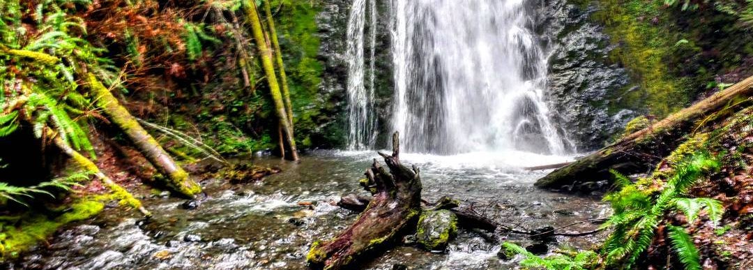 Madison Falls - 3 tips from 367 visitors