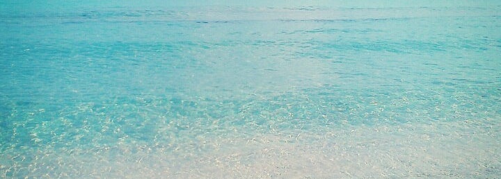 Gulfstream Park - Beach