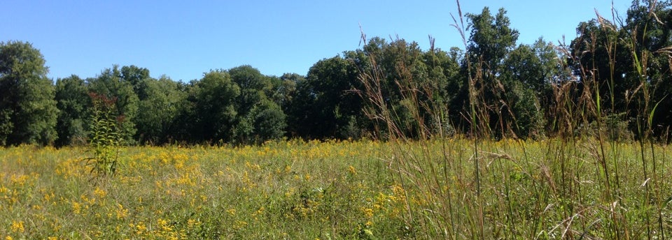 Fort Ancient State Memorial - Oregonia, OH