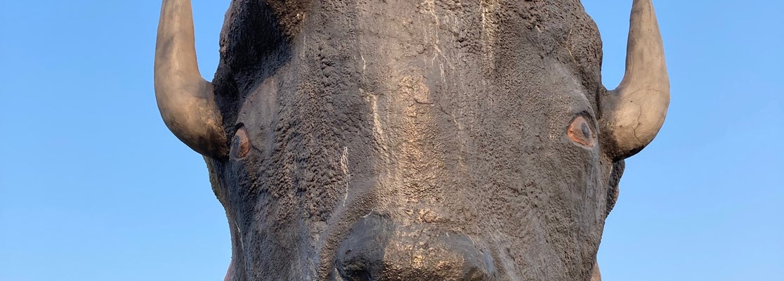 World's Largest Buffalo - Jamestown, ND
