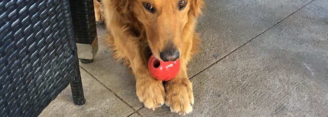 Peter Cellars - 21708 Broadway