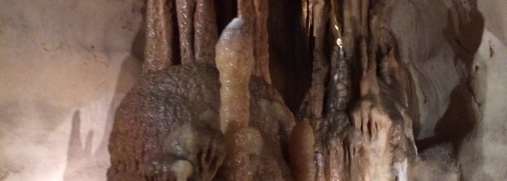 Princess Margaret Rose Cave - Mumbannar, VIC