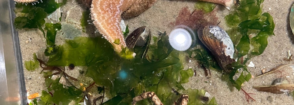 Cape Cod Museum Of Natural History - 7 tips from 462 visitors