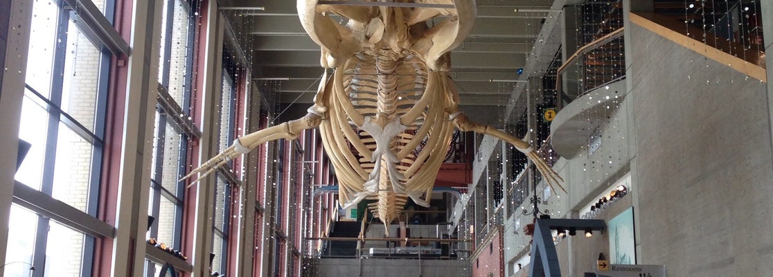 Grand Rapids Public Museum - Museum in West Side