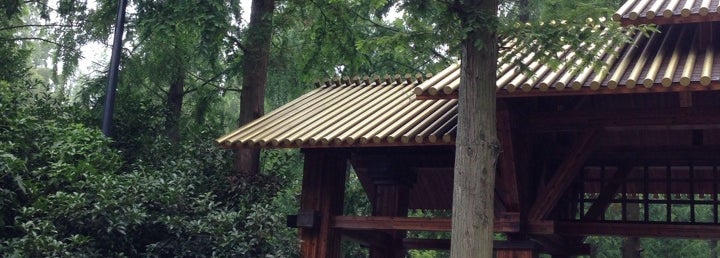 Dongping National Forest Park (东平国家森林公园) - Park in Chongming