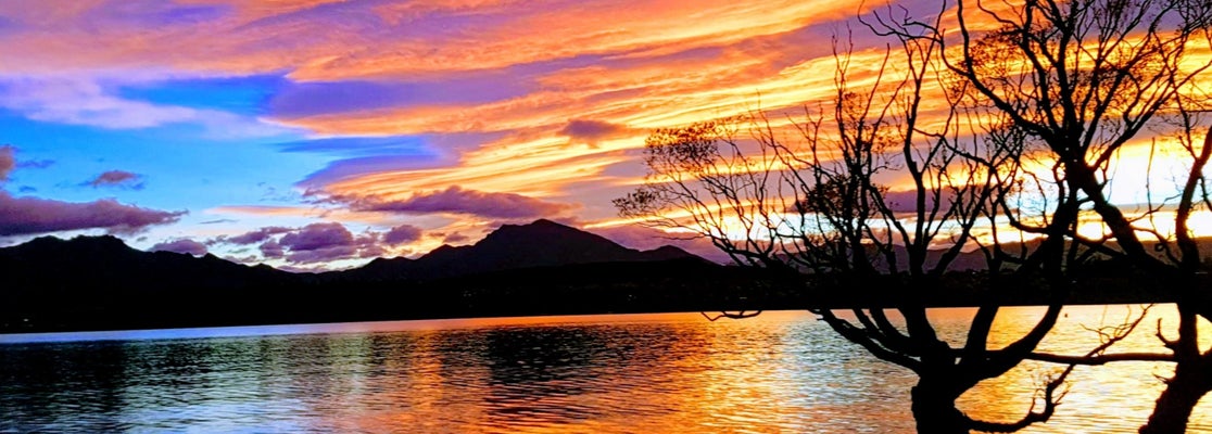 Edgewater Resort Wanaka - 7 tips from 245 visitors