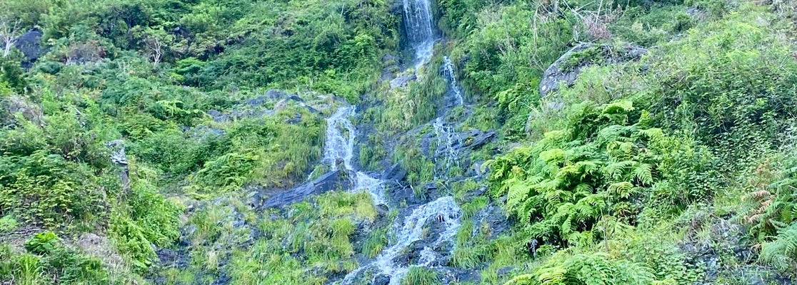 Levada das 25 Fontes - Hiking Trail