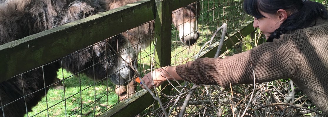 Hackney City Farm - Farm in Hackney