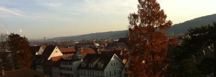 Esslinger Burg - Castle in Esslingen am Neckar