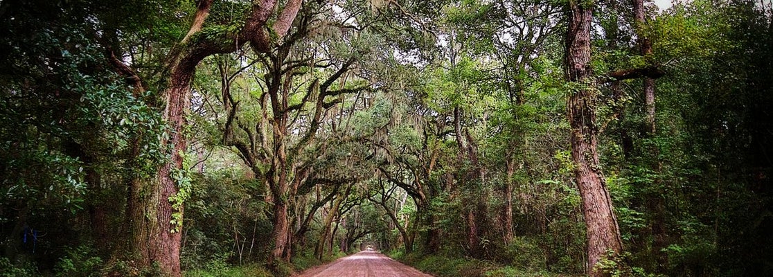 Botany Bay Plantation - Edisto Island, SC