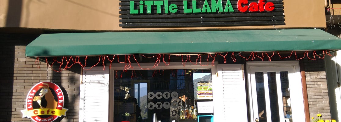 Little Llama Cafe - Café in Mussoorie