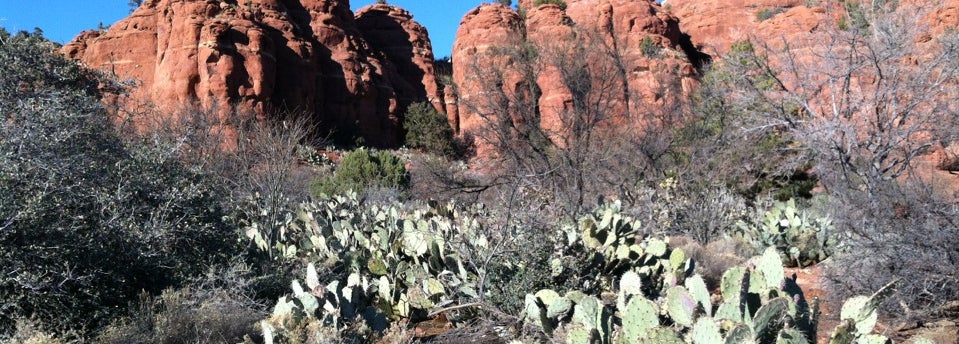 Coconino National Forest - 14 tips